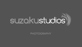 Skyfall Communications, LLC.